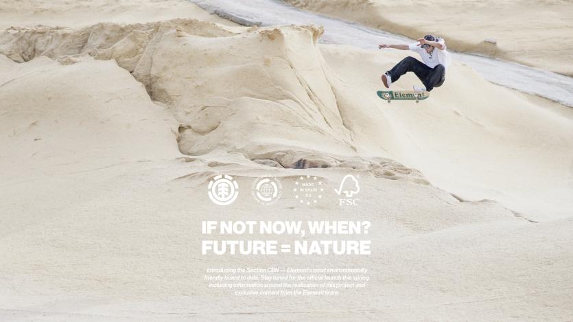 INTRODUCING THE SECTION CBN | Element